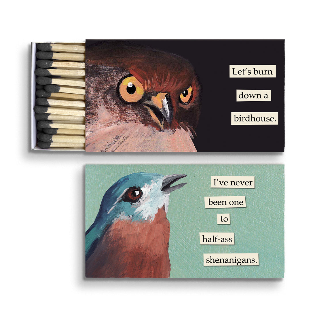 Birdhouse Matchbox – The Mincing Mockingbird & The Frantic Meerkat