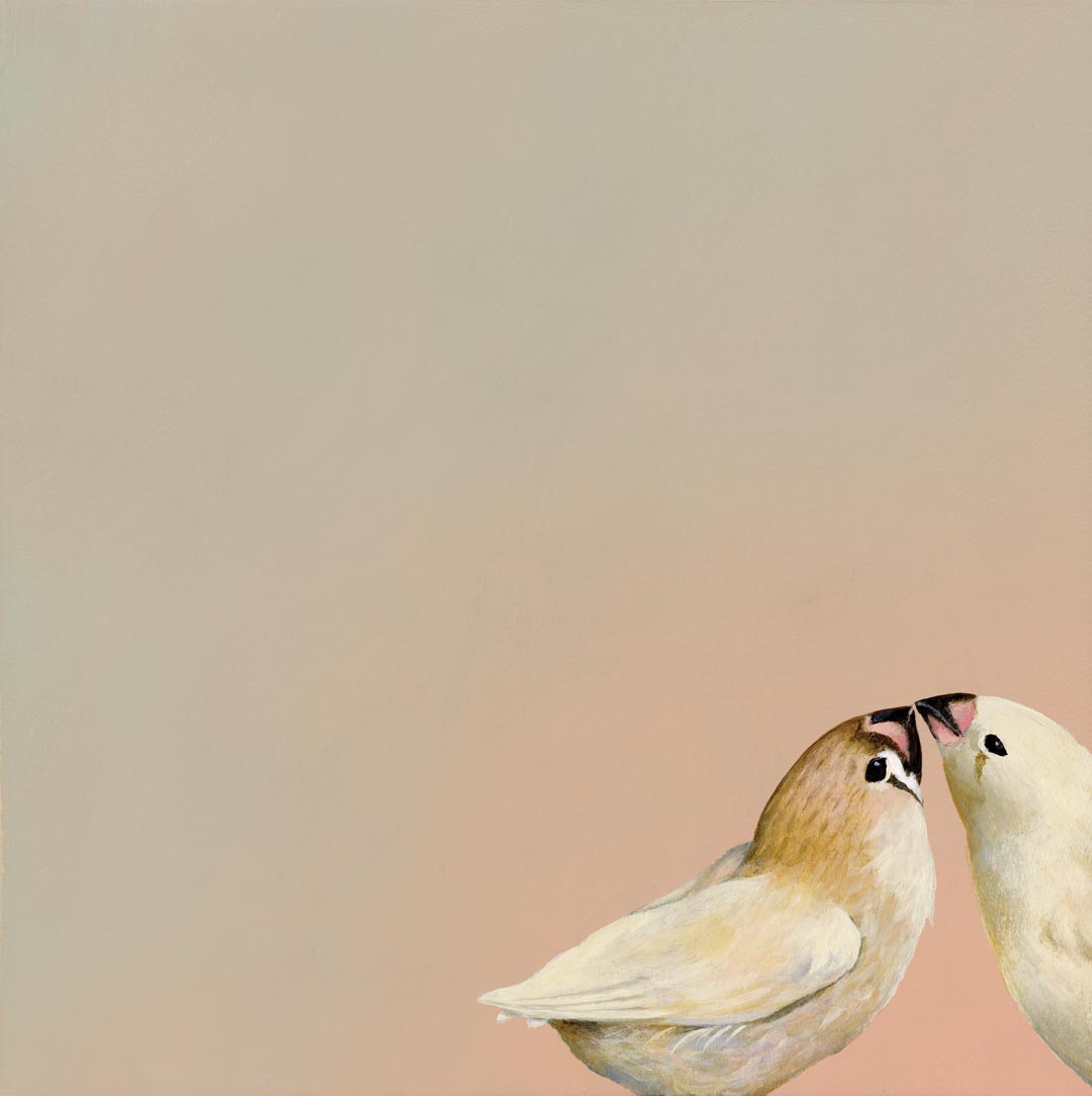 Go Ahead And Flirt — Who Gives A Shit Anymore – The Mincing Mockingbird & The Frantic Meerkat