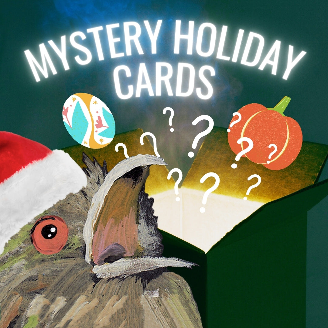 Mystery Holiday Card Bag – The Mincing Mockingbird & The Frantic Meerkat