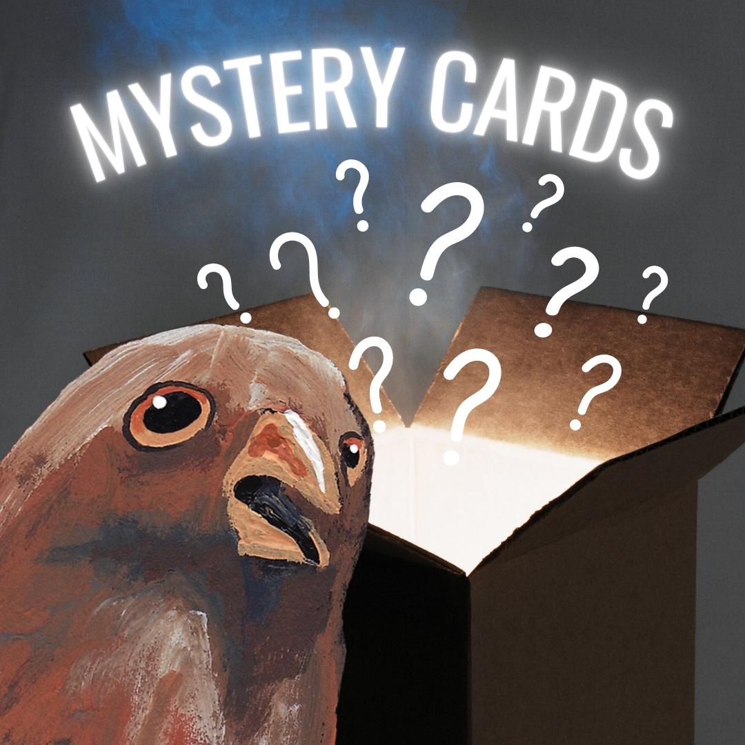 Mystery Card Bag – The Mincing Mockingbird & The Frantic Meerkat