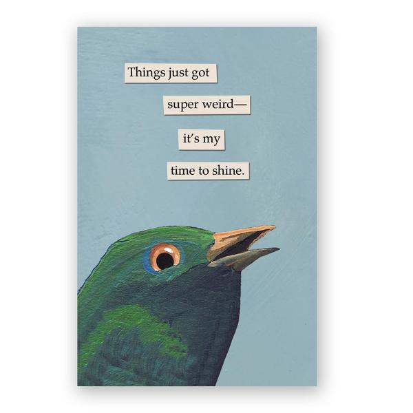 Super Weird Postcards - Set of 12 - Troubled Birds – The Mincing ...